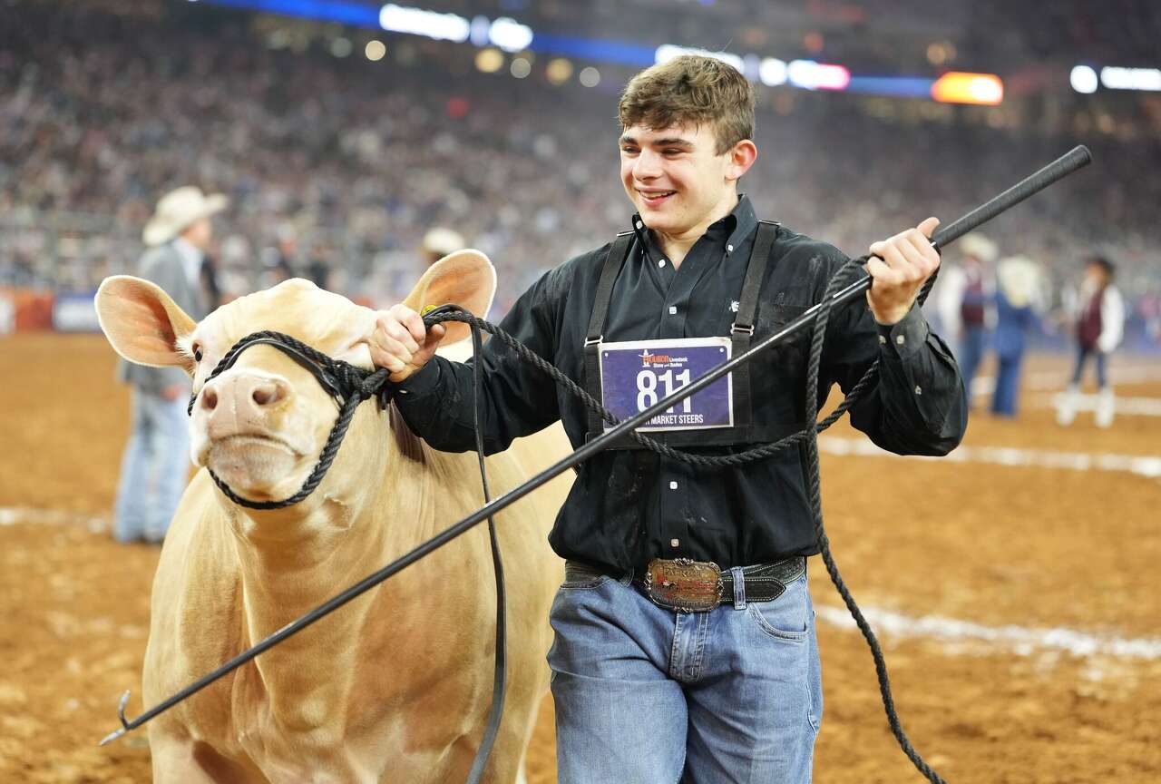 Zinger named 2026 grand champion junior market steer at RodeoHouston