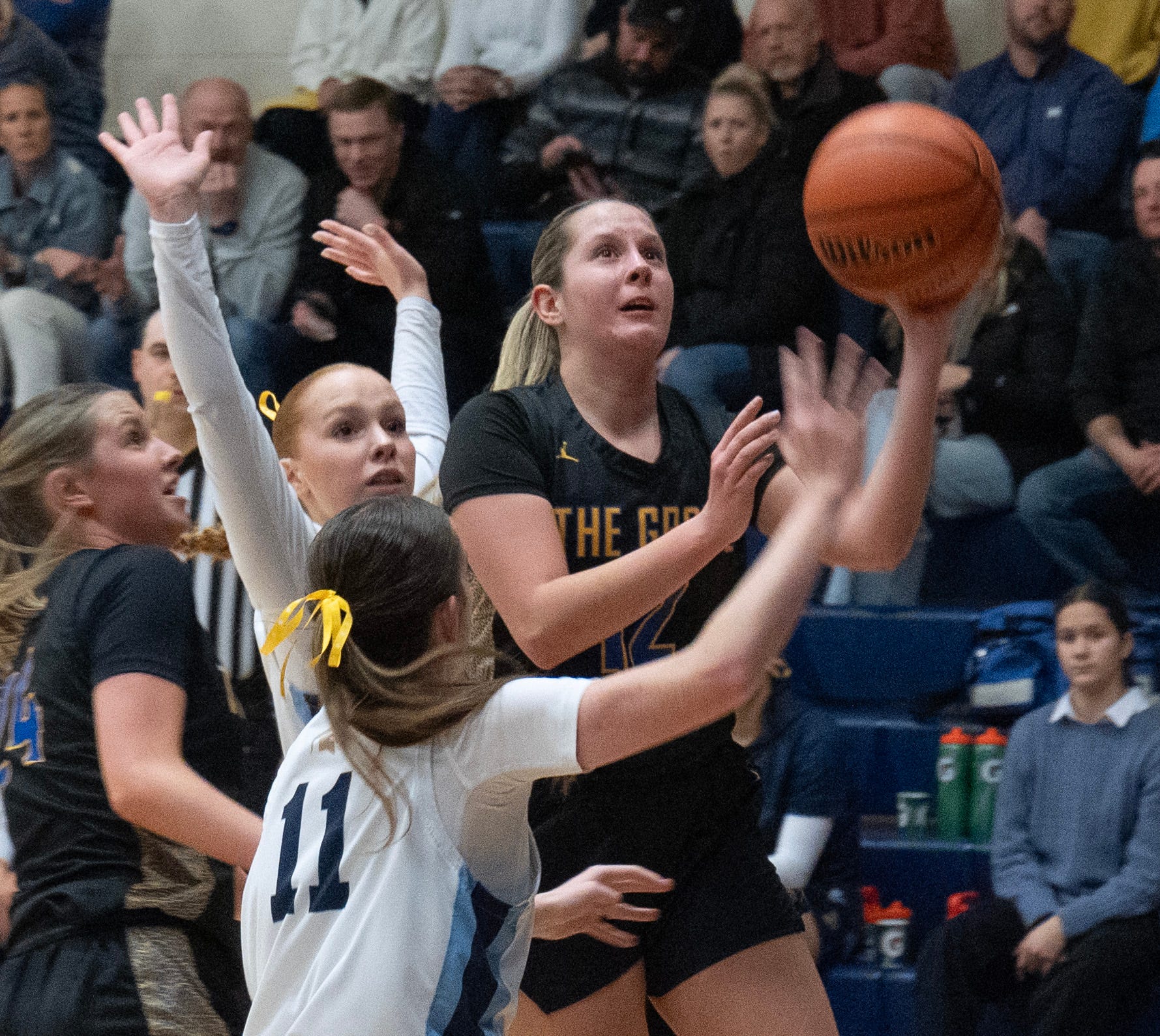 Vote! Who is The Register-Guard's girls basketball player of the year?
