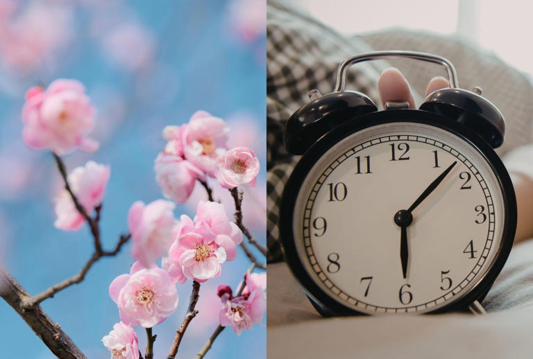 Date clocks go forward in March and if your clocks will update ...