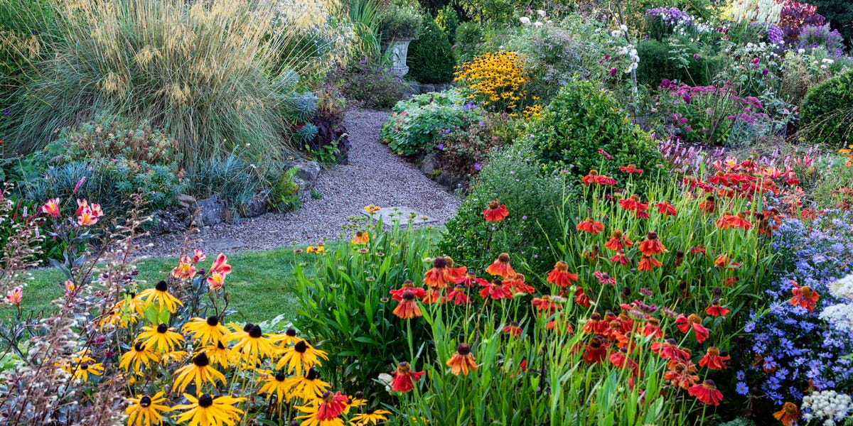8 tough-as-nails perennials for your most low-maintenance garden ever