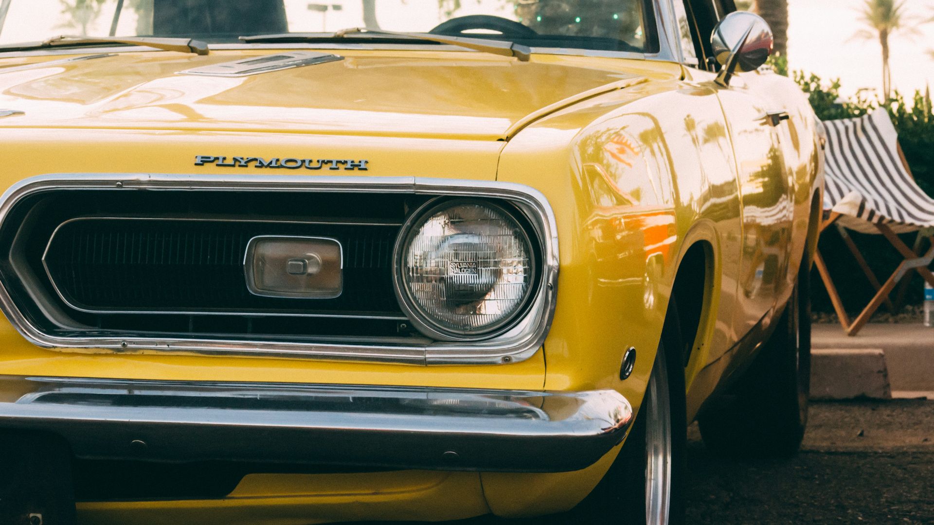 Driving rabbits & pandas: 20 cars named after animals