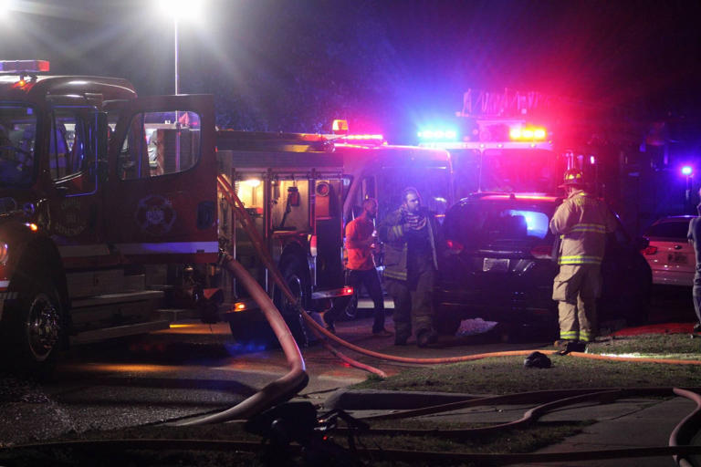 Dog dies in late-night structure fire in Chaffee, Mo.