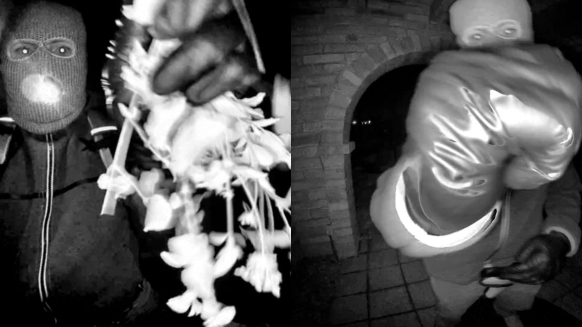 Sheriff debunks 'Porch Guy' theory in Nancy Guthrie case, calls ...