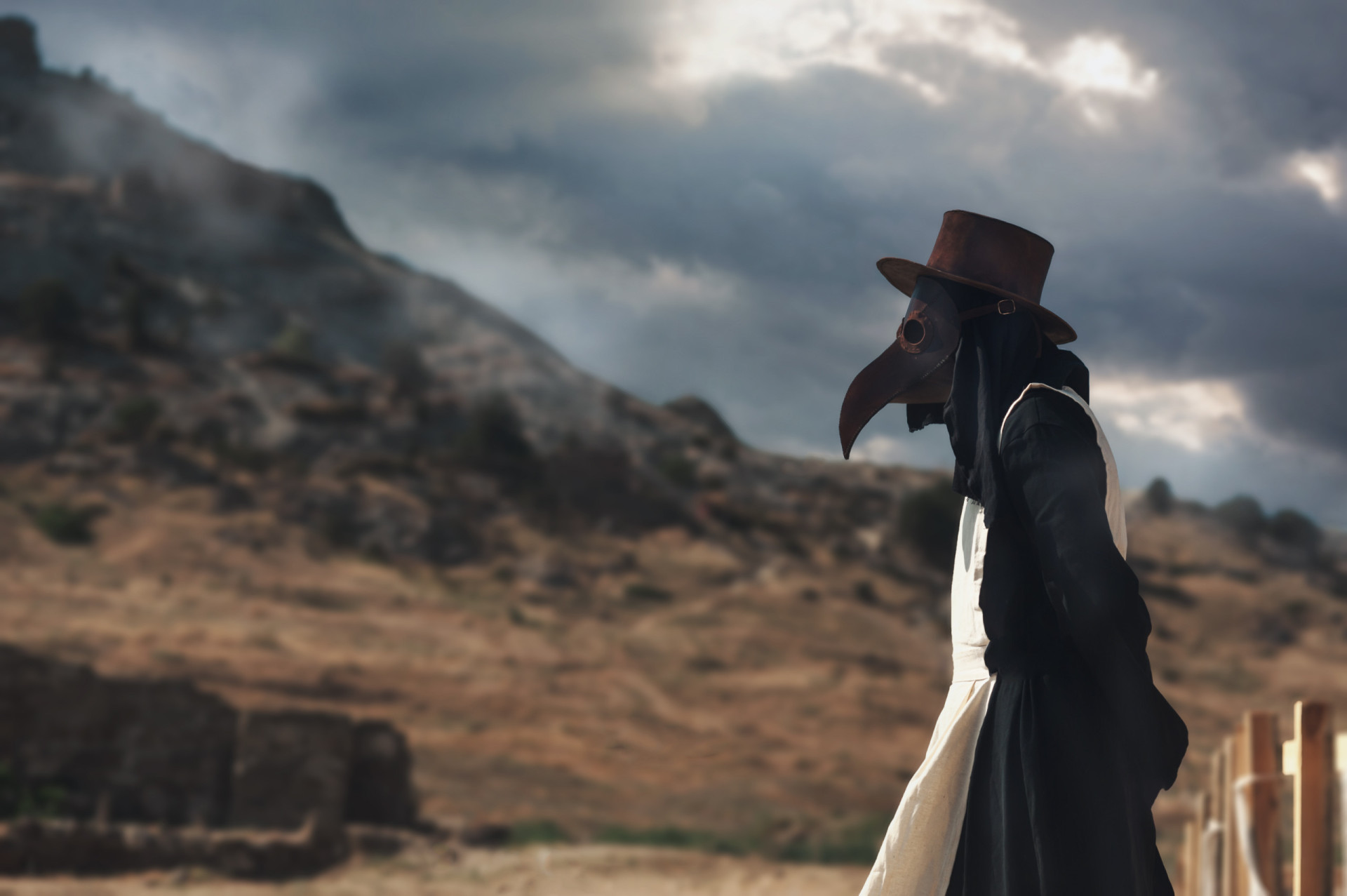Black Death: The Middle Ages' deadliest plague