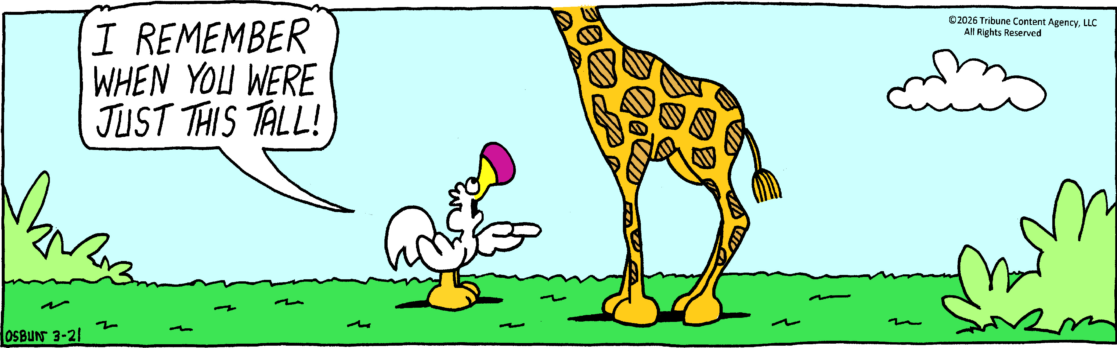 Animal Crackers by Mike Osbun