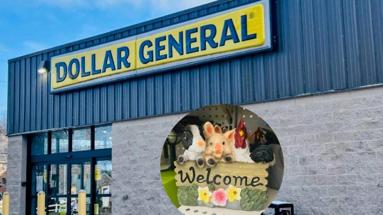 Cutest animal decor ever! These Dollar General finds start at $1!