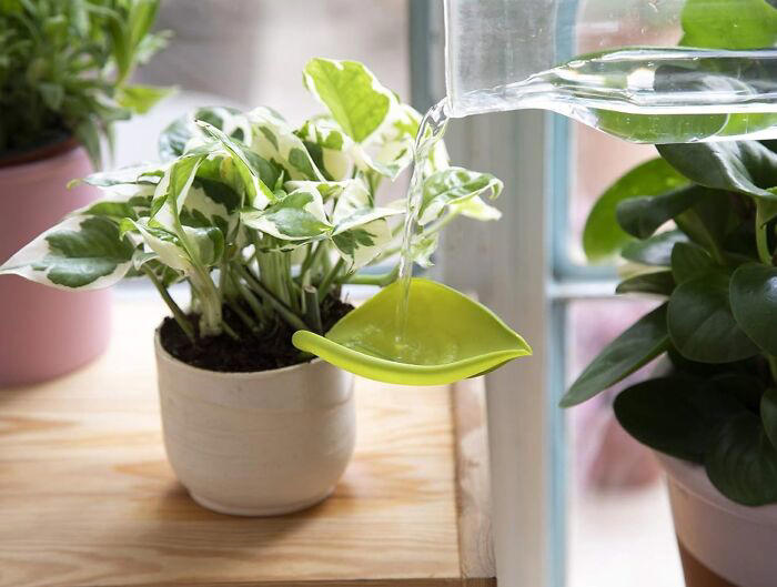 21 ridiculous but surprisingly functional designs