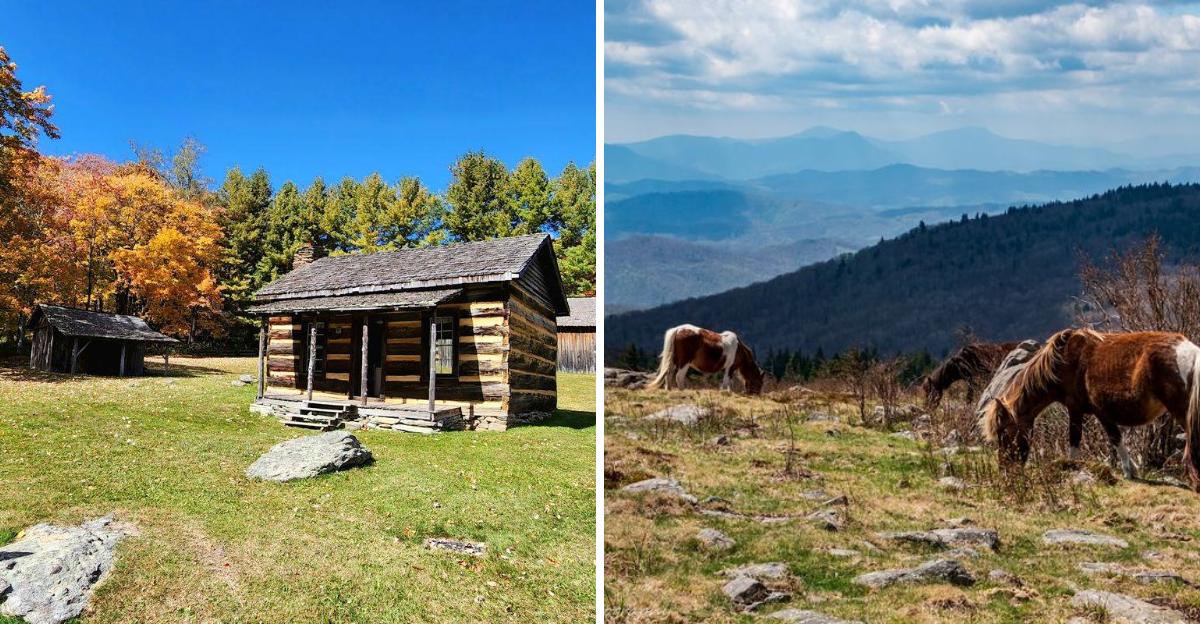 Virginia’s highest state park is a 4,500-acre nature lover’s paradise