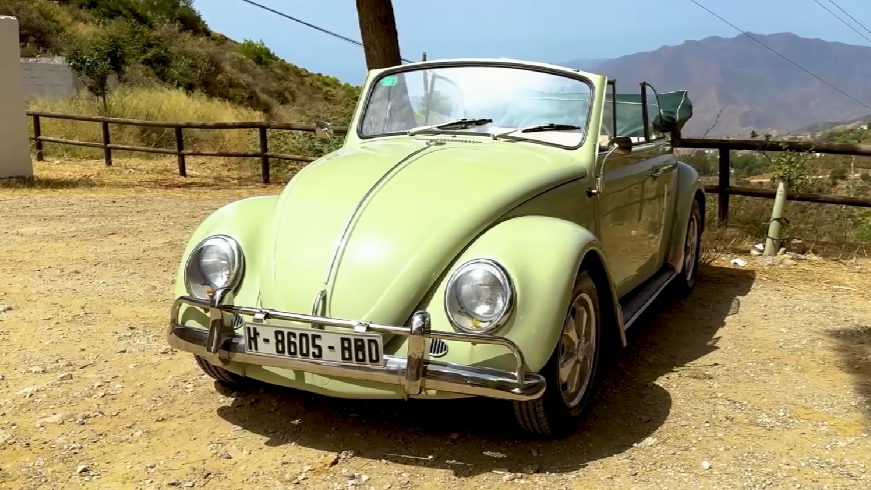 A closer look at the iconic Beetle’s legacy
