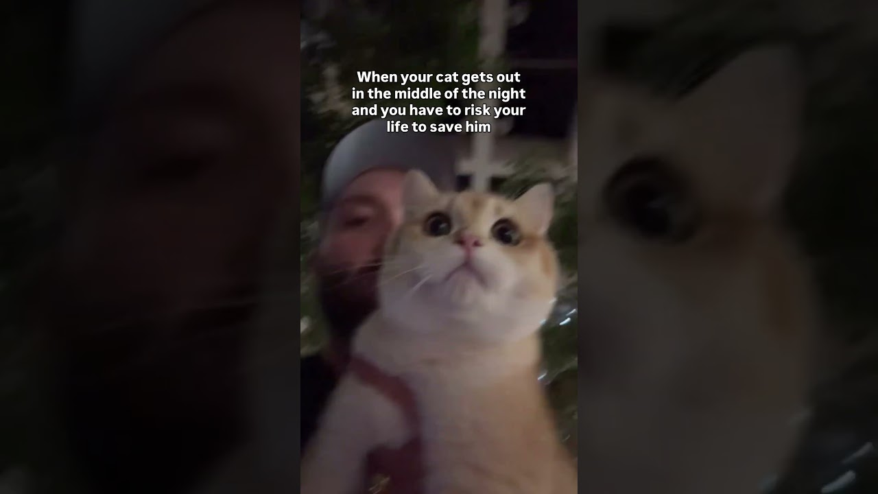 Brave owner would risk life to save a cat