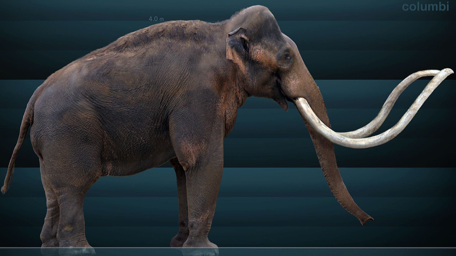 20 prehistoric animals that shared the planet with our ancestors