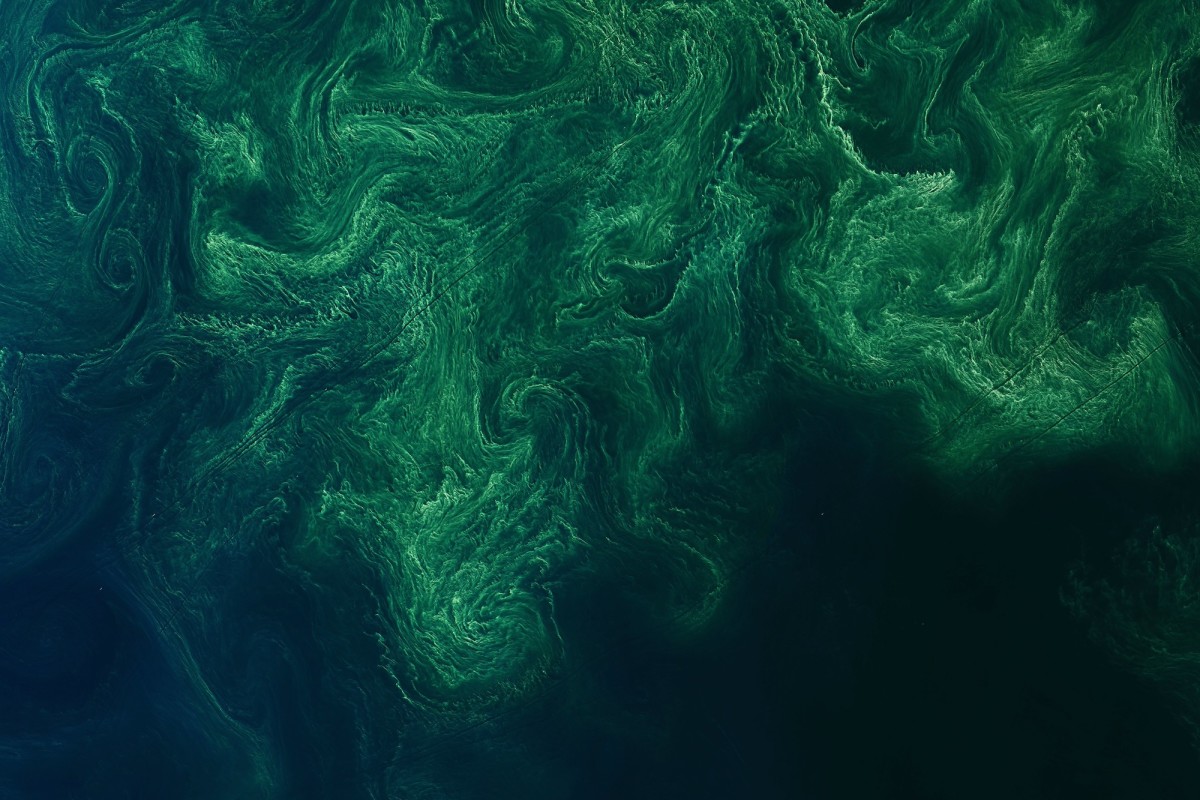 Satellite imagery shows Southern California’s toxic algal blooms from space