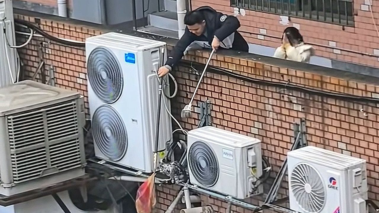 Man rescues kitten stranded on side of building in China