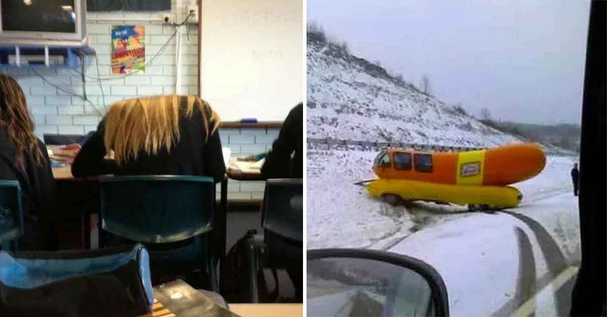 42 choice pics and memes for your viewing pleasure