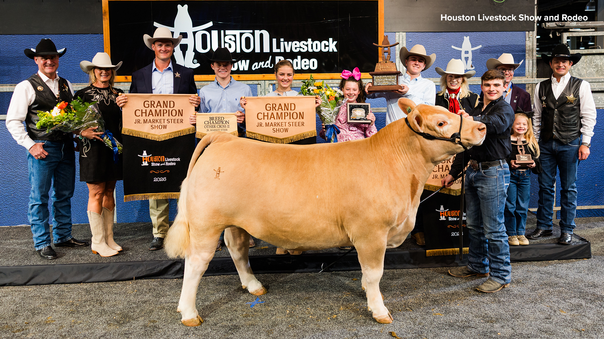 Grand champion steer sells for record $1.5 million at 2026 Houston ...