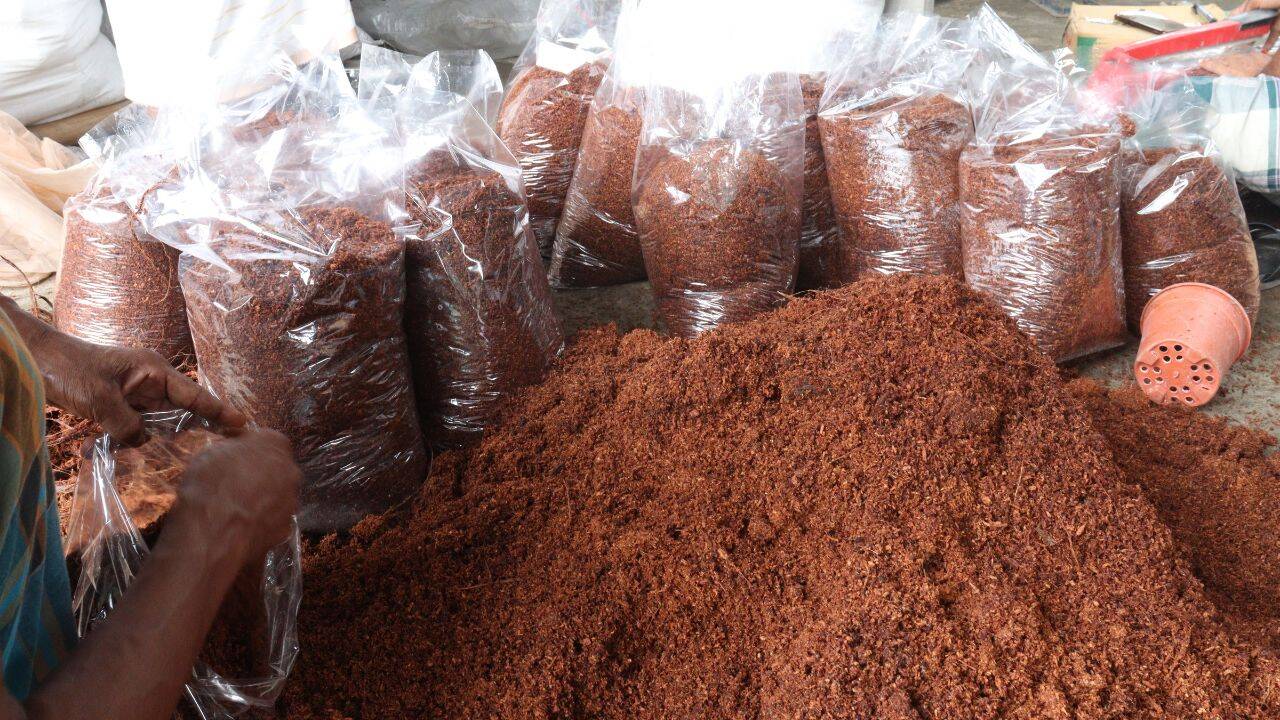 5 essential soil nutrients to help your balcony plants live longer
