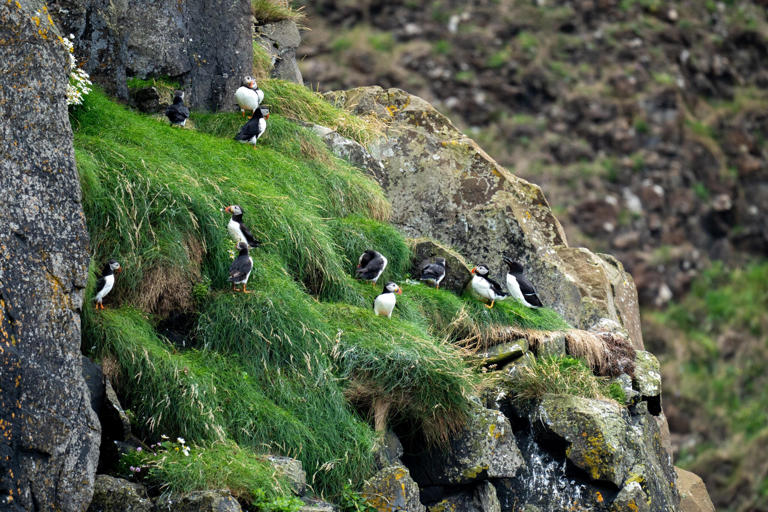 The 5 most beautiful Irish islands to set foot on — from rugged shores ...
