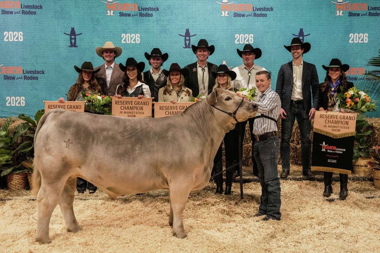 Houston Livestock Show and Rodeo's grand champion steer, Zinger, sells ...
