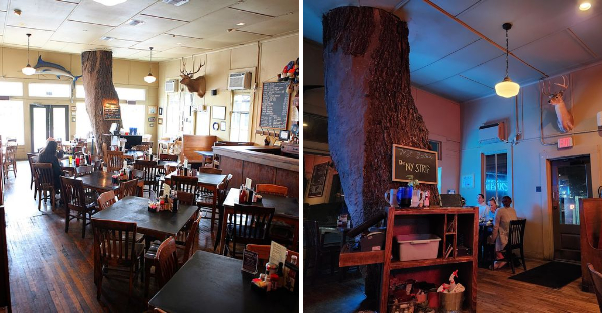 This low-key Texas steakhouse has a 500-year-old oak tree growing ...