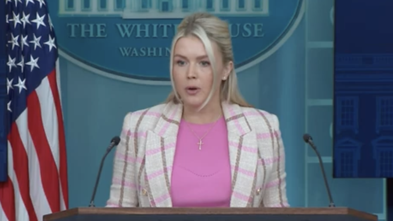 'President Trump will decide': Karoline Leavitt says the quiet part out ...