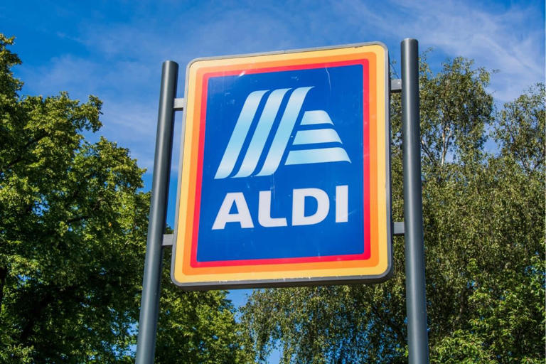 Aldi’s £69.99 car tent is perfect for last-minute getaways – it's the ...