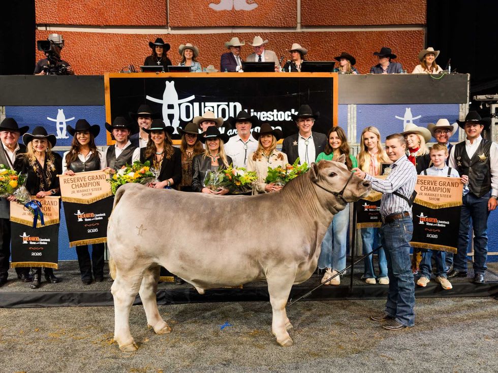 Rodeo's grand champion steer sets a new auction record of $1.5 million