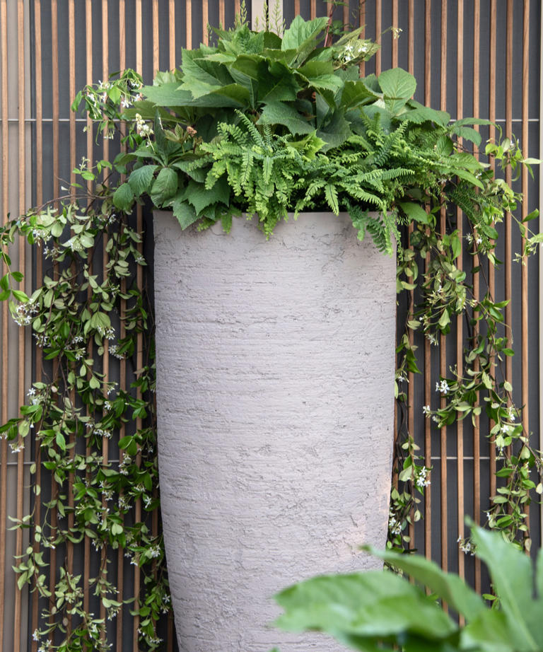 5 portable garden ideas for renters: beautiful planting schemes you can ...