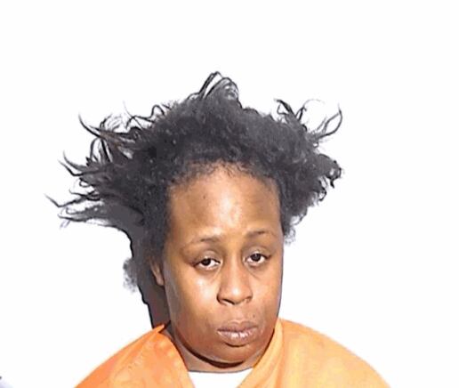 Toledo woman pleads not guilty to seven counts of endangerment after ...