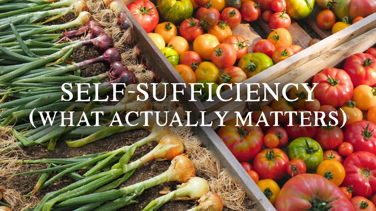 3 tips that make self-sufficiency possible (and what to ignore)