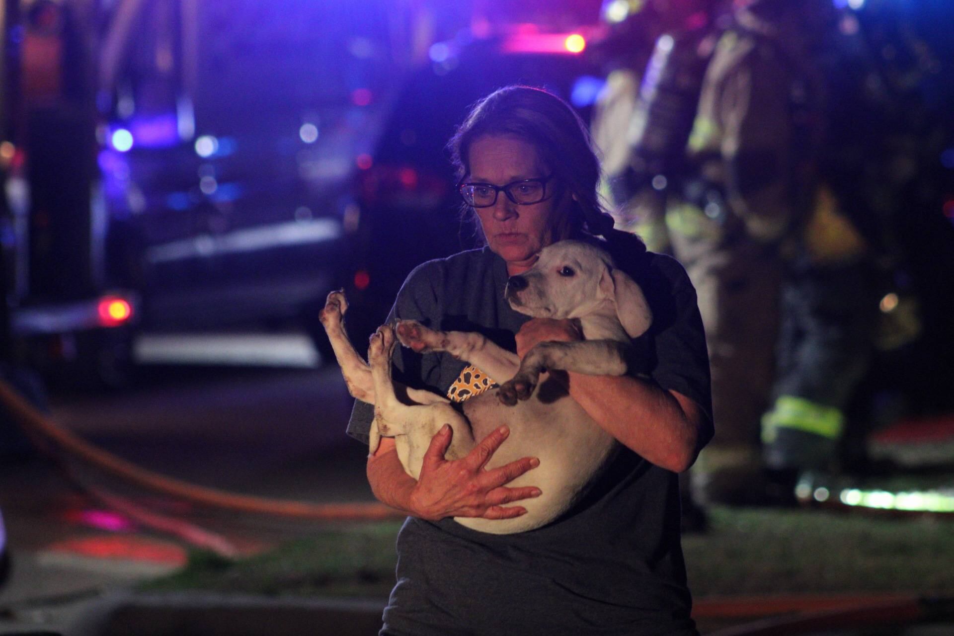 Dog dies in late-night structure fire in Chaffee, Mo.