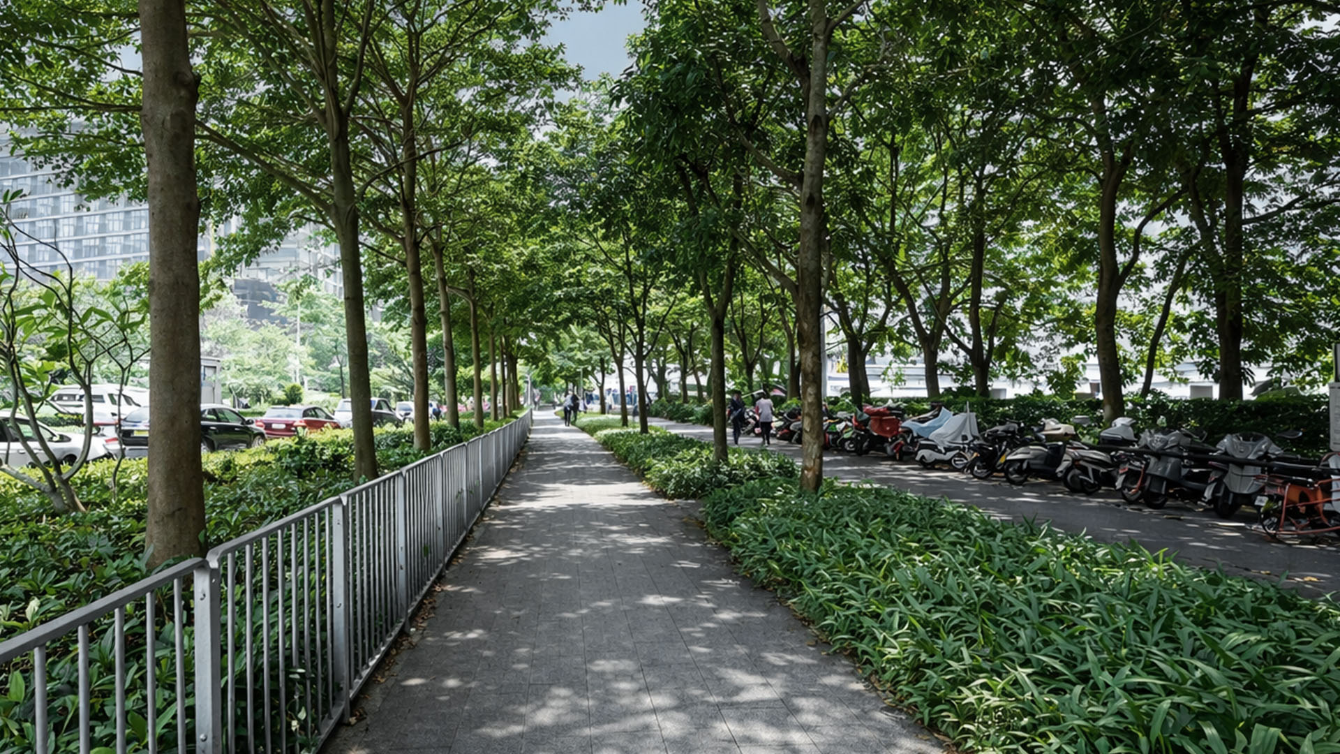 Well planned sidewalks separate pedestrians from vehicles, China
