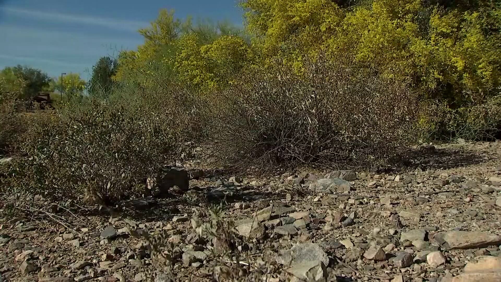 Arizona fire season could start early as triple-digit heat dries ...