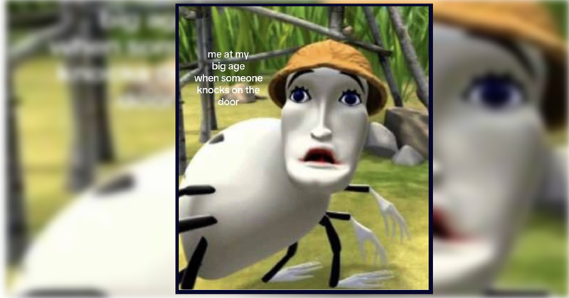 26 animal memes for people who need an extra energy boost