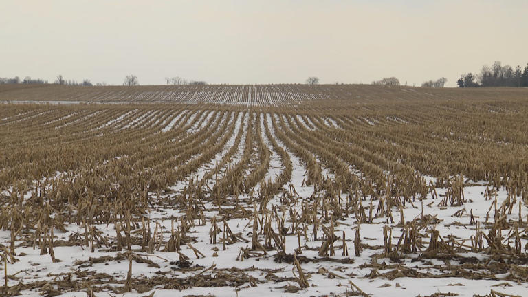 Pickering council approves controversial outline to develop rural lands ...