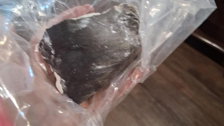 Did a meteor hit her home? Houston-area woman says object crashed ...
