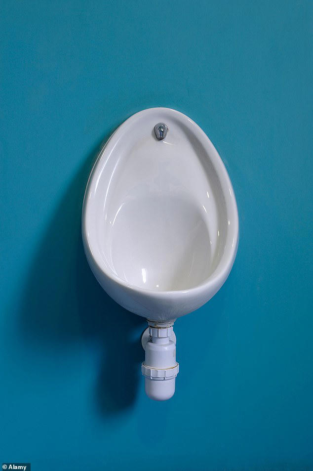 Why men should use toilet paper after peeing: Doctors back hygiene ...