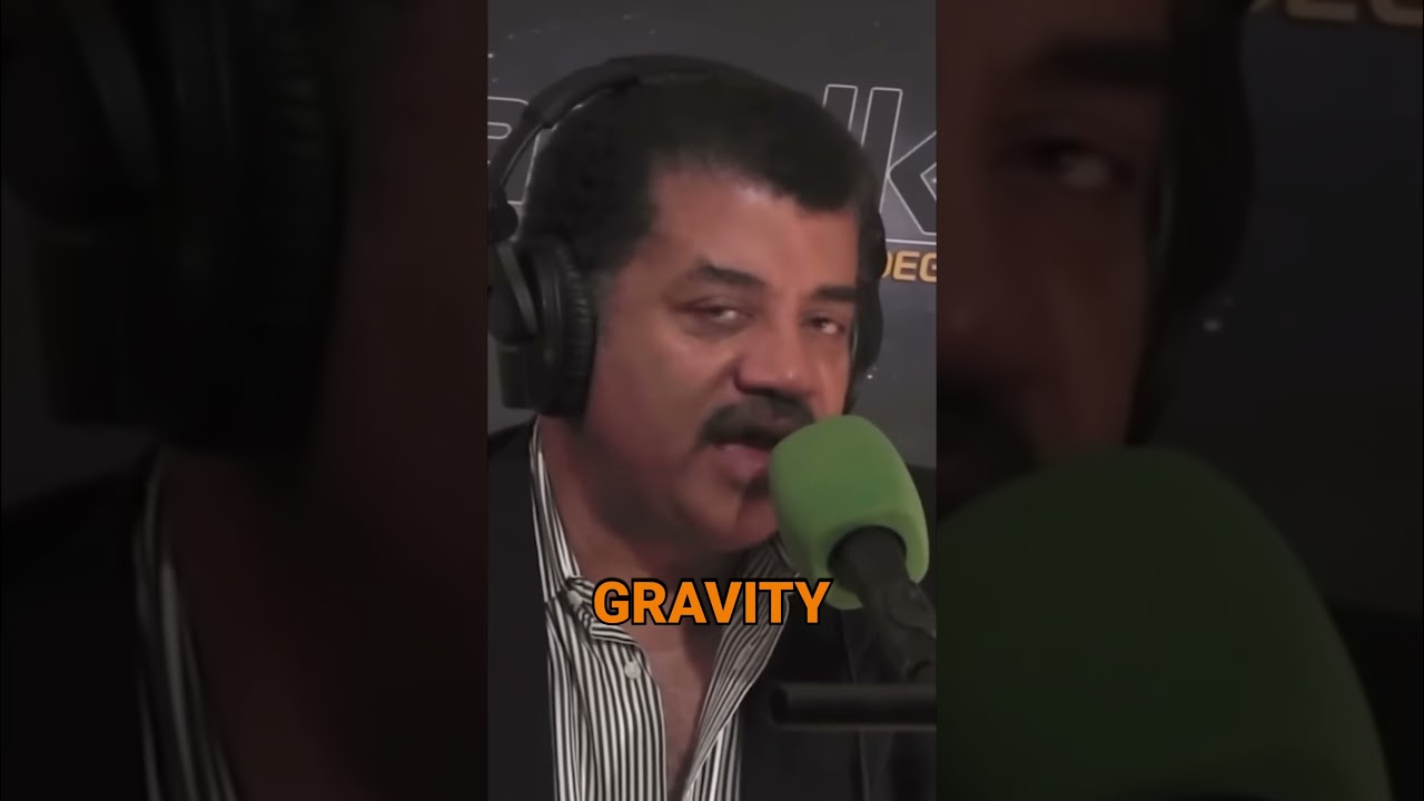 I explored the mysteries of quantum life