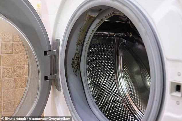 You're doing laundry wrong! Why you should never close the washing ...