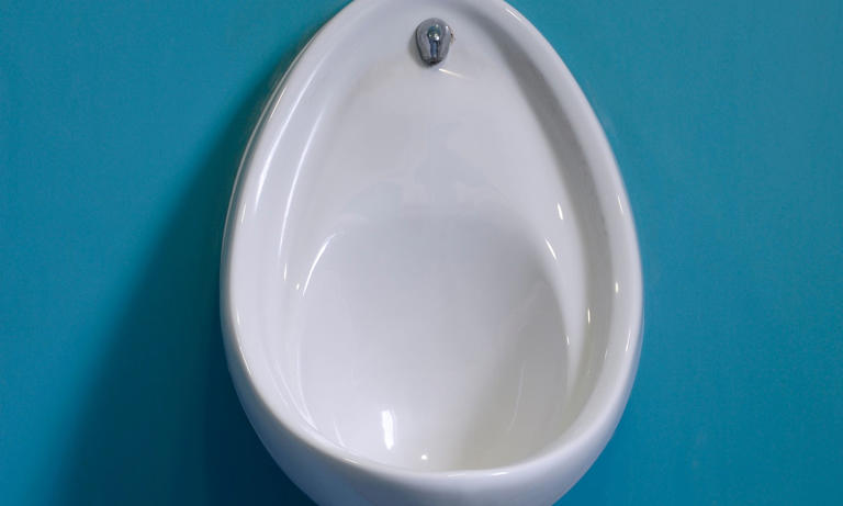 Why men should use toilet paper after peeing: Doctors back hygiene ...