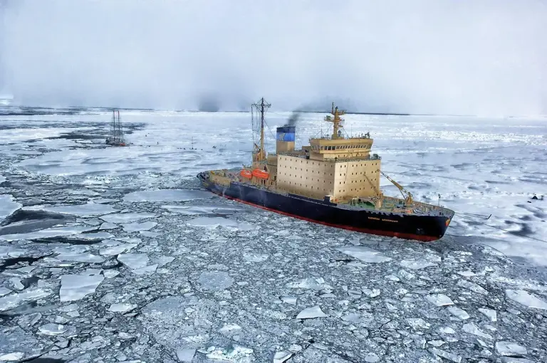 Arctic meltdown: Polar bear size shrinking as sea ice hits new seasonal ...