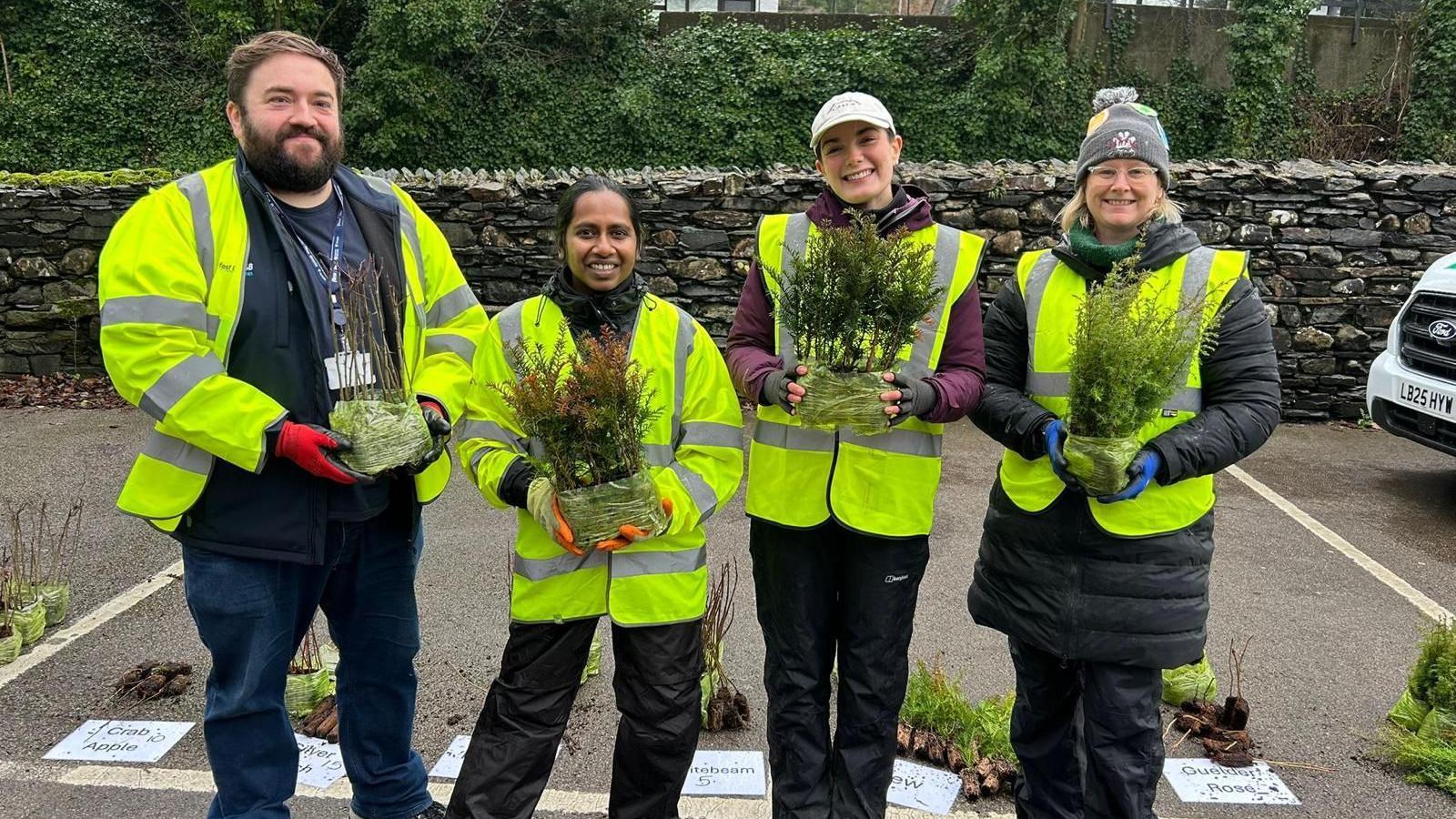 Tens of thousands of trees handed out to residents