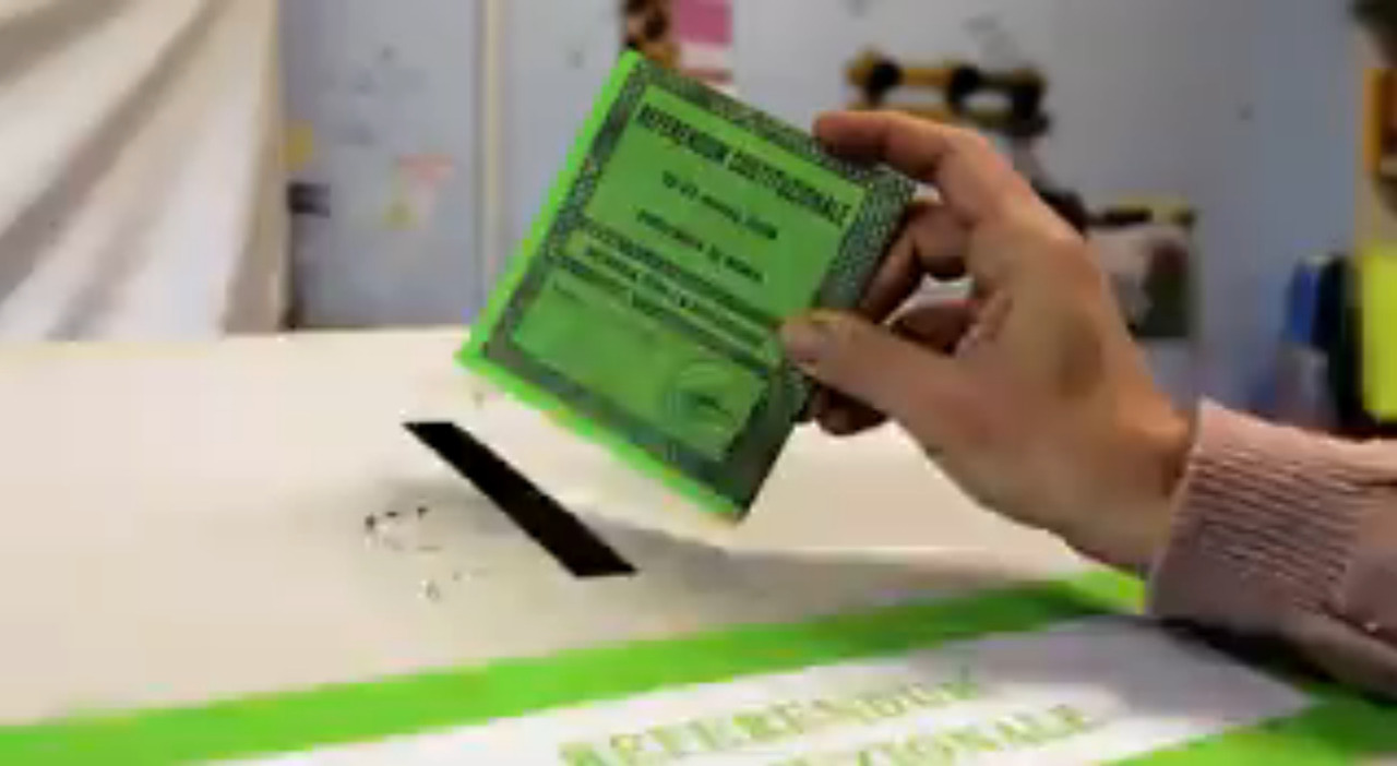 Referendum 2026: come votare senza tessera elettorale, guida all ...