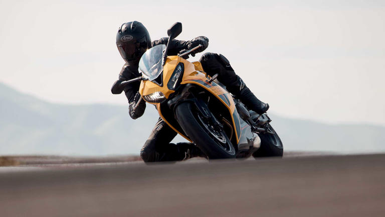 10 performance bikes that are easier to ride than you think