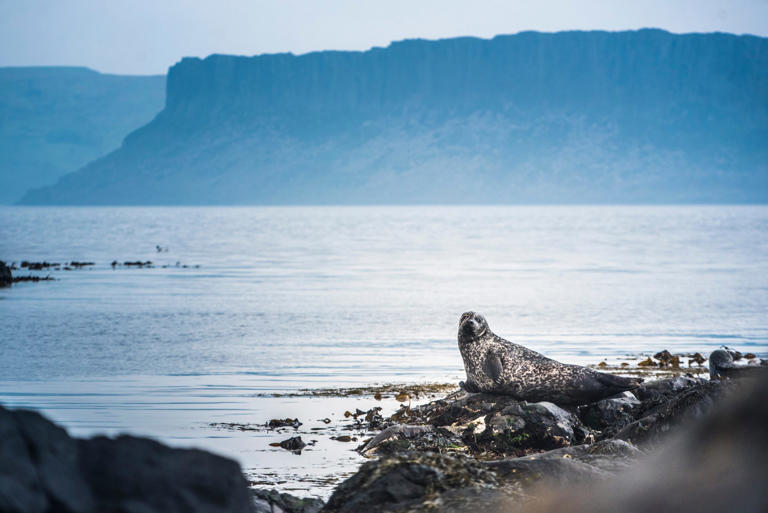 The 5 most beautiful islands to visit in Ireland — from rugged shores ...