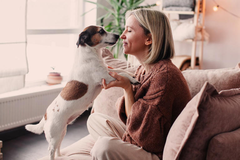 Big dog or small dog? What your choice says about you, according to expert