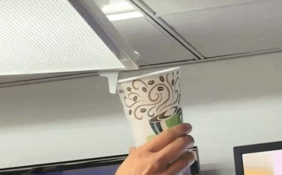 Tiny mouse rescued from office ceiling