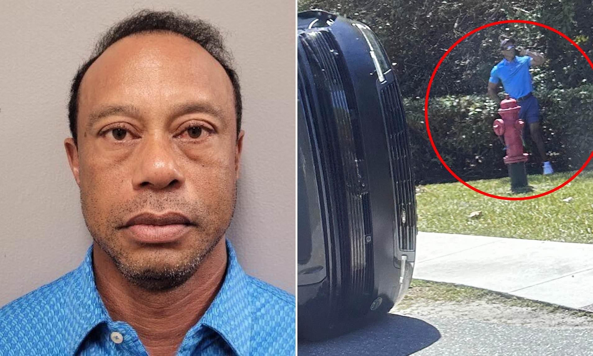 Tiger Woods is released from prison after eight hours behind bars as ...