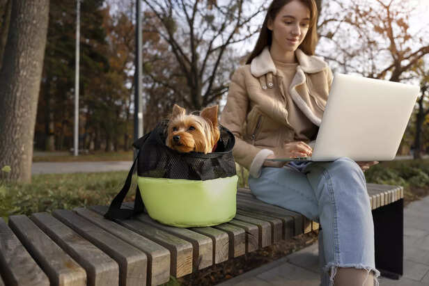 Eco friendly pet products that are changing the market