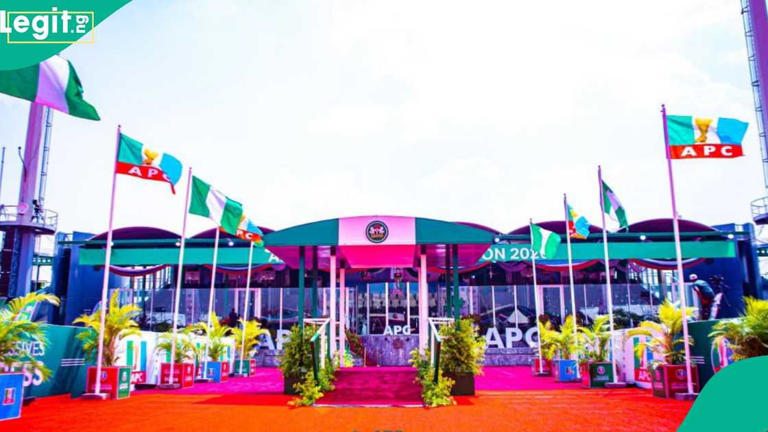 APC convention: Full list of all elected national executives