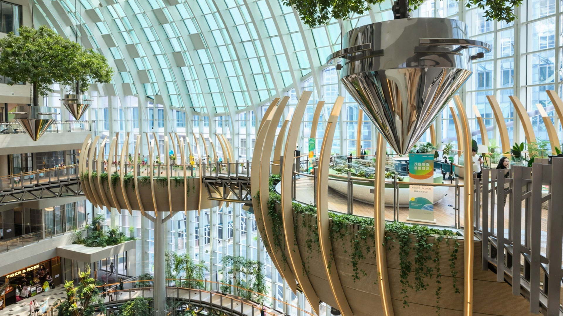 China’s modern glass bridge blends nature with urban architecture